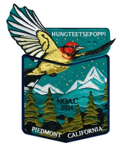 OA HUNGTEETSEPOPPI 466 BSA PIEDMONT CA 2024 NOAC 2-PATCH TANAGER BIRD 100 MADE!! | eBay
