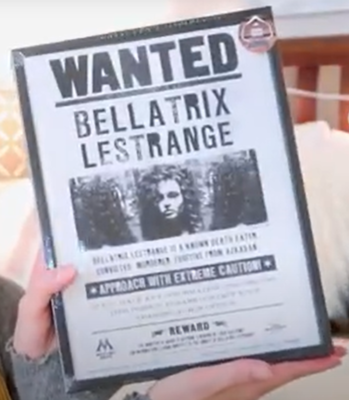 Bellatrix Lestrange Wanted Poster Harry Potter Poster By Minalima