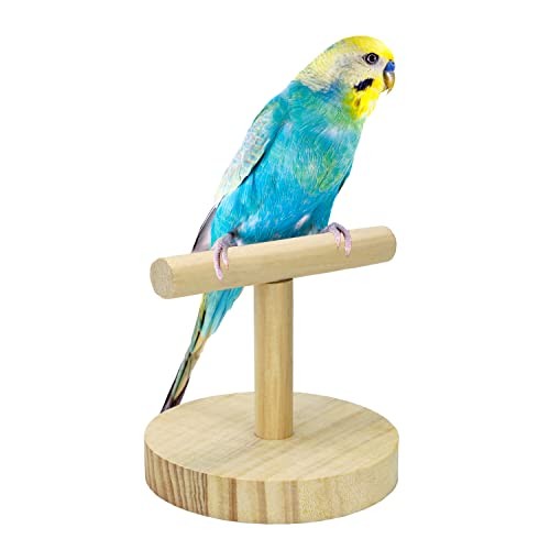 Parrot Perch Bird Stand Natural Wood Quartz Sand Birdcage Play Gym T ...