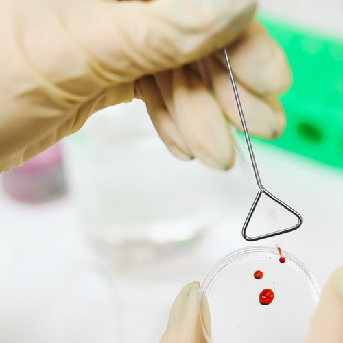 6 Pcs Coating Rod Set Cell Laboratory Wide Spreading | eBay UK