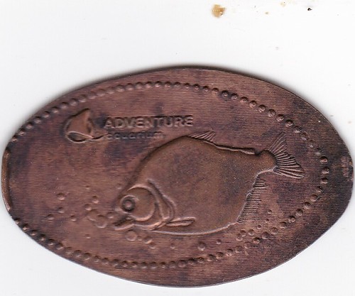 Elongated Souvenir Penny: ADVENTURE AQUARIUM (Fish) C/R 360 | eBay ...