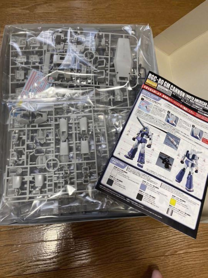 Bandai MG 1/100 RGC-80 GM CANNON NORTH AMERICAN FRONT GUNDAM Model Kit ...