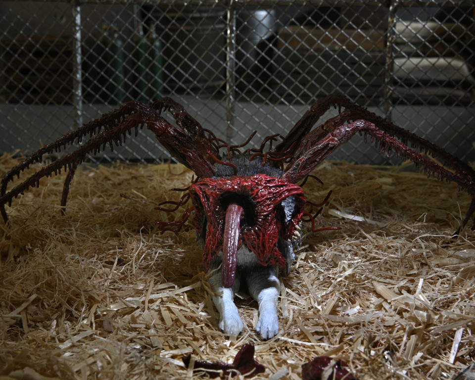 NECA The Thing Dog Creature Deluxe Ultimate 7 Inch Scale Action Figure ...