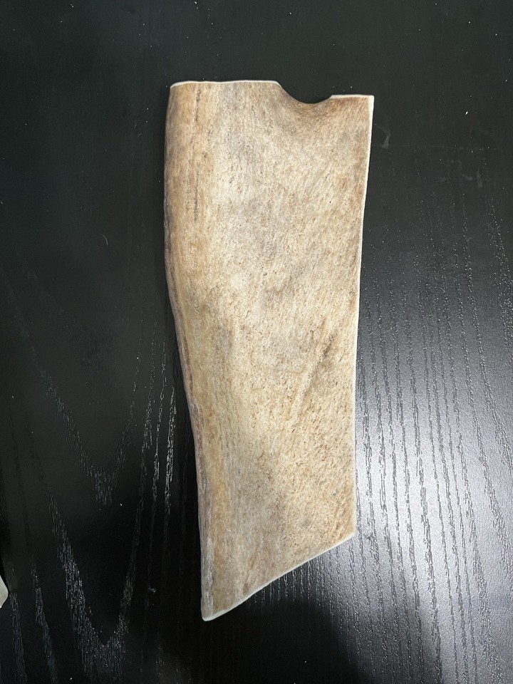 Utah MOOSE 8 1/2” Antler Dog Chew(#9) Dog Chew | eBay