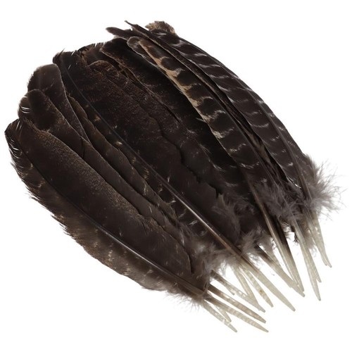 10-12inch Wild Turkey Feathers Natural Feather Decoration DIY Craft ...