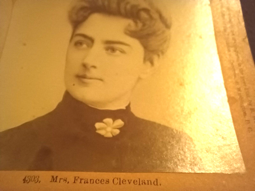 MRS FRANCIS CLEVELAND 1893 PORTRAIT Loeffler Stereoview PHOTO Card | eBay