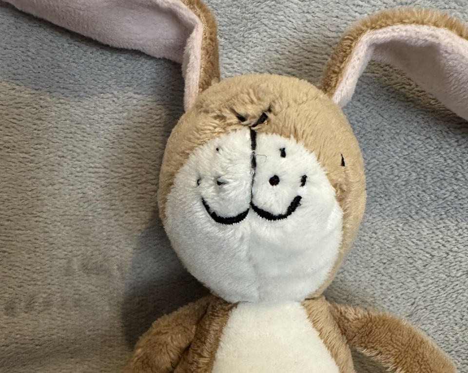 Rainbow Designs Guess How Much I Love You Little Nutbrown Hare Soft Toy ...