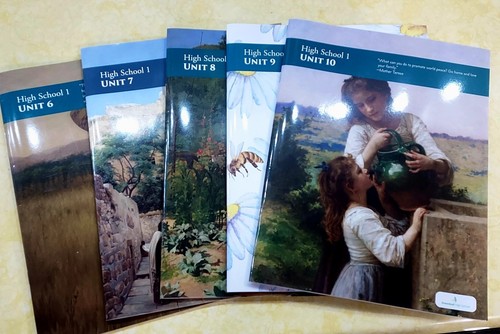 The Good and the Beautiful High School 1 Language Arts Curriculum ...