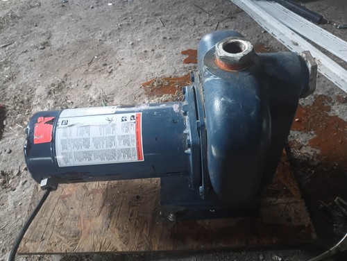 Pentair StaRite Sta-Rite Pro-Storm DS3HF 1-1/2 HP Centrifugal Pump | eBay