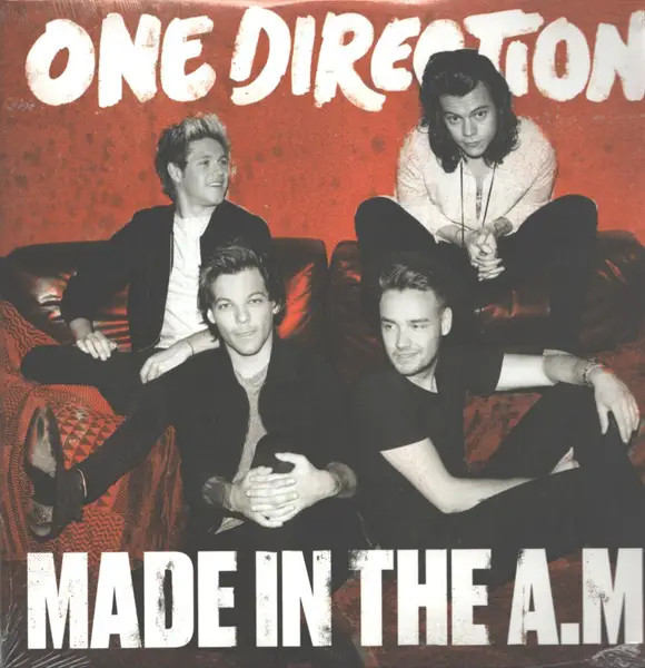 One Direction Made In The A.M. NEW OVP Syco Music 2xVinyl LP | eBay.de