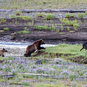 High End Designer Clothing | eBay Stores