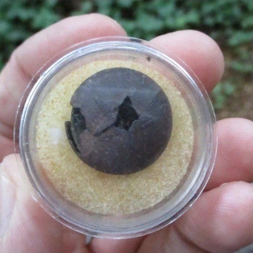 Civil War dug Confederate Mississippi Coat Button -Virginia relic | eBay