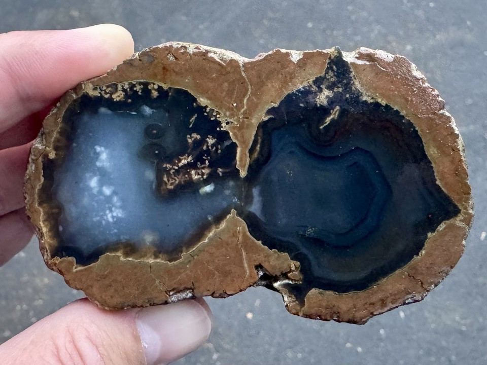 Oregon Thunder Eggs (4) | eBay