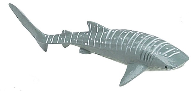 Blue Shark 2019 Safari Ltd Pelagic Fish Toob 100265 Educational Mini ...