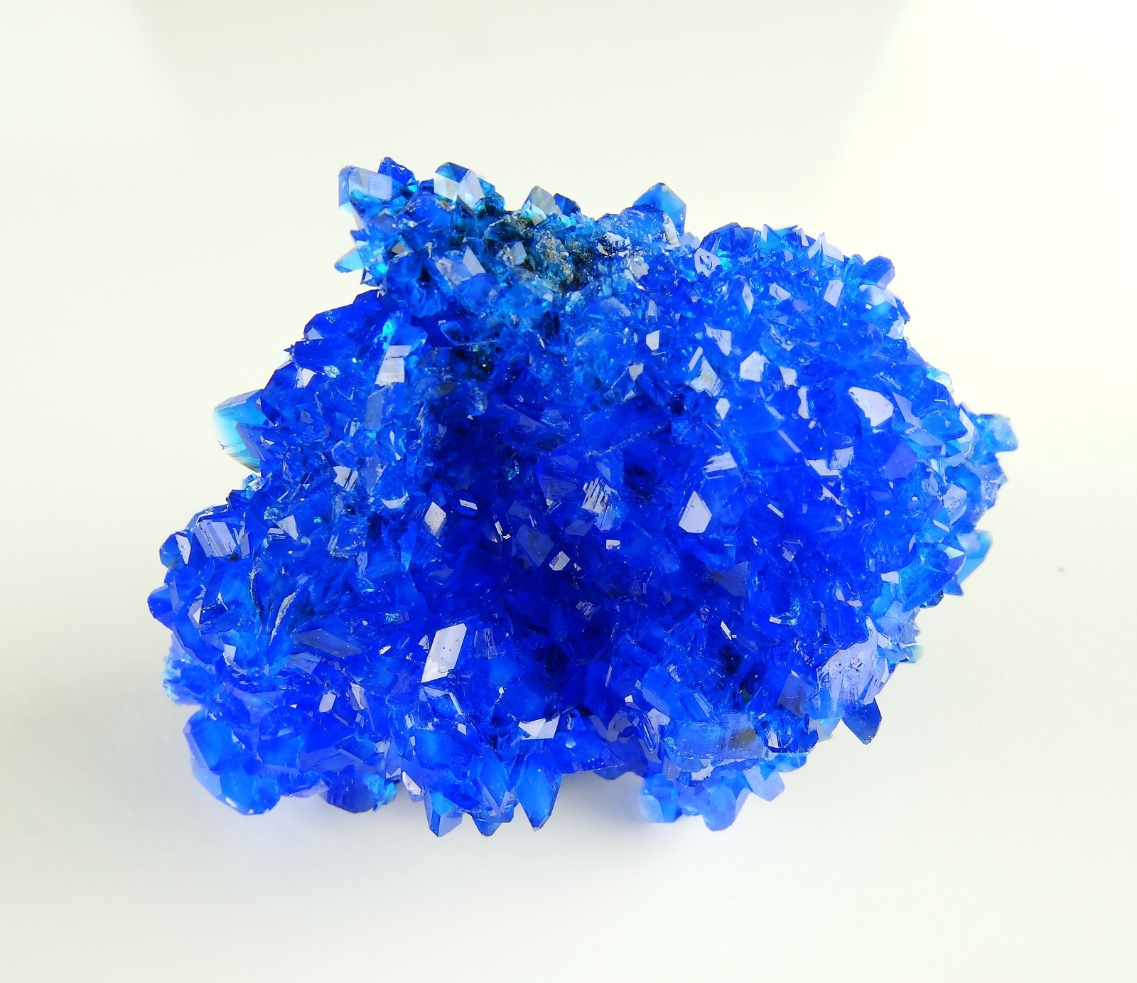 WHOLESALE BOX with CHALCANTHITE - 24 pcs - ELECTRIC BLUE alunite, alum ...