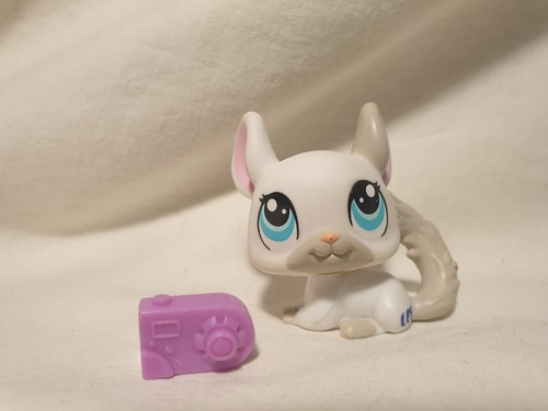 LITTLEST PET SHOP LPS AUTHENTIC Chinchilla White #1401 & ACCESSORY ...
