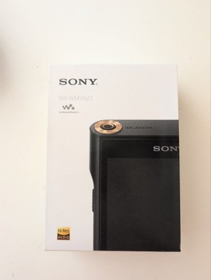 SONY NW-WM1AM2 WALKMAN 128GB WM1 Series Hi-Res ***BUNDLE + CASE*** | eBay
