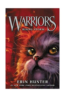 Warriors 4 rising storm - pnalook