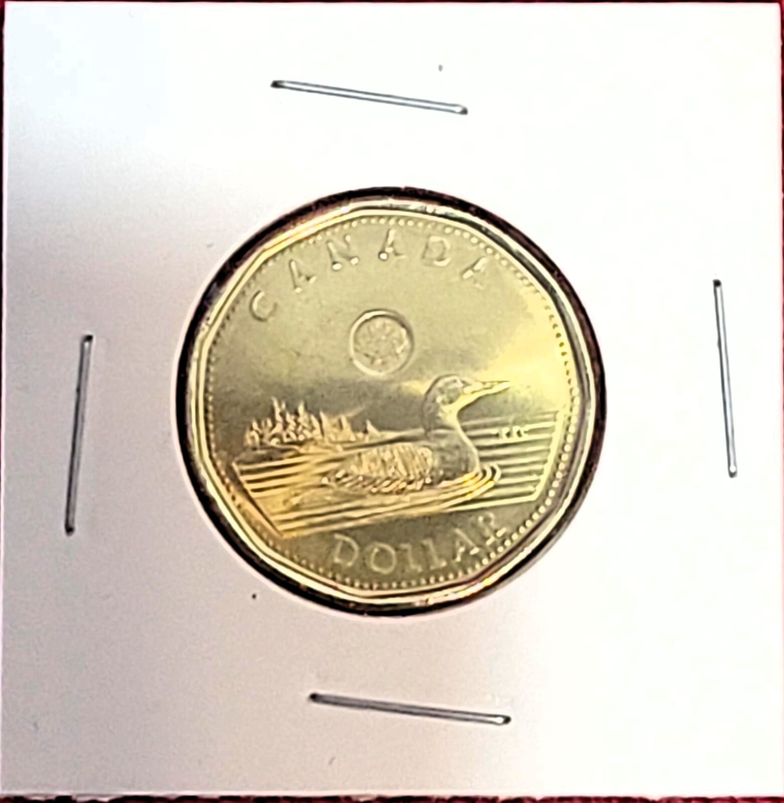 Canada 2024 1 Dollar FIRST STRIKE Canadian Loonie | eBay