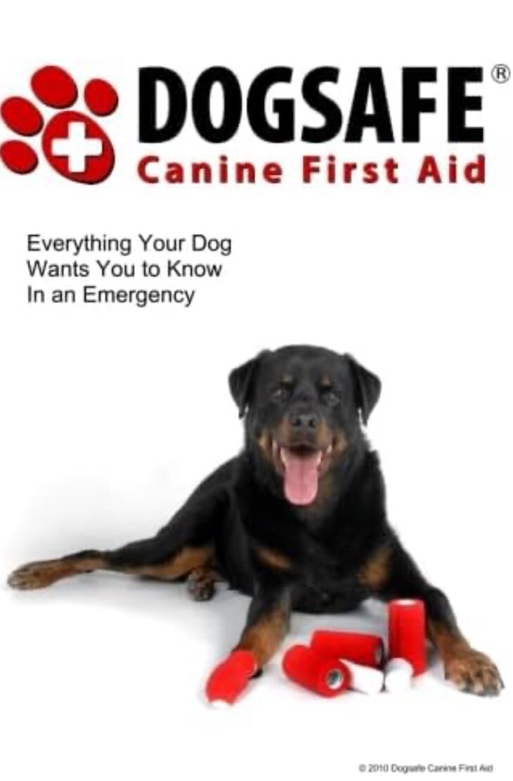 DOGSAFE CANINE FIRST AID: EVERYTHING YOUR DOG WANTS YOU By Michelle ...