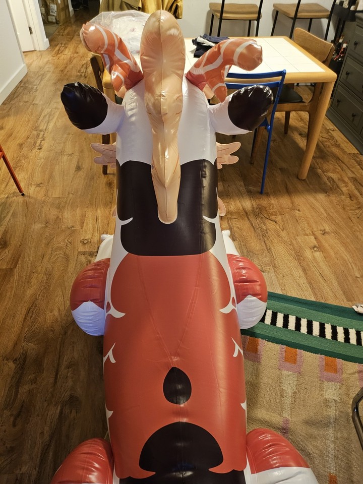 Imaginary Creature Factory (ICF) Kocol Inflatable Koi Chinese Dragon ...