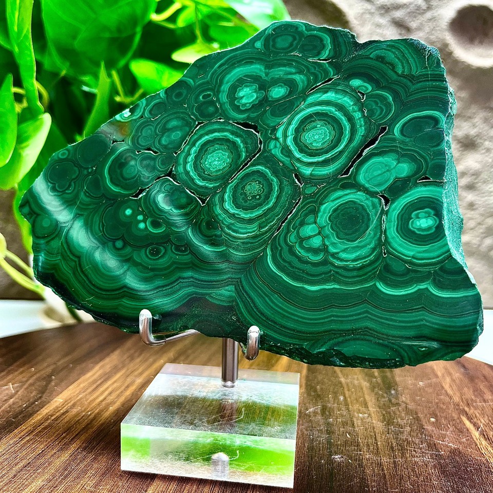 1.4LB green peacock stone quartz specimen | eBay Australia