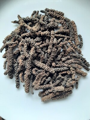 Ethiopian Spices Herbs- Timiz pepper | eBay UK