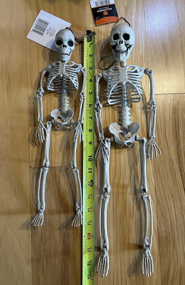 2 Pack Posable Small Halloween Skeleton, 17” Full Body Halloween ...
