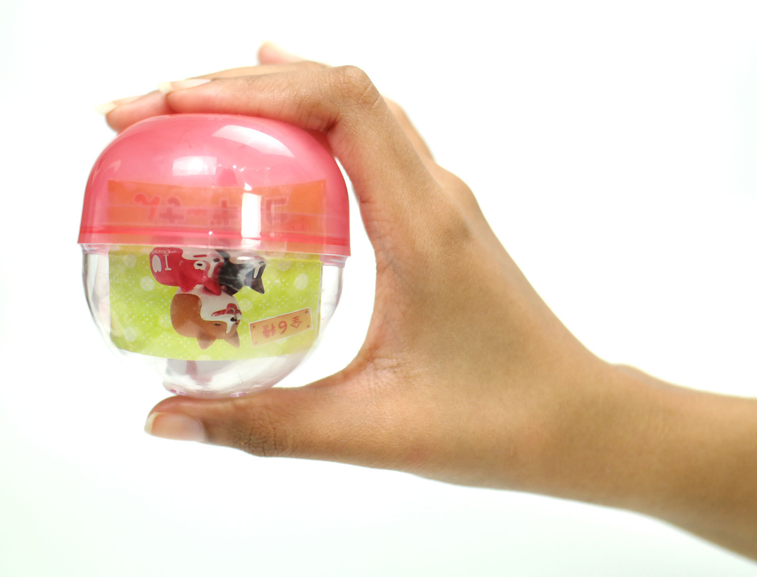 Blind Box Sofubi Japan Chubby BLK BRN Corgi Dog Vinyl Figure 1 Random ...