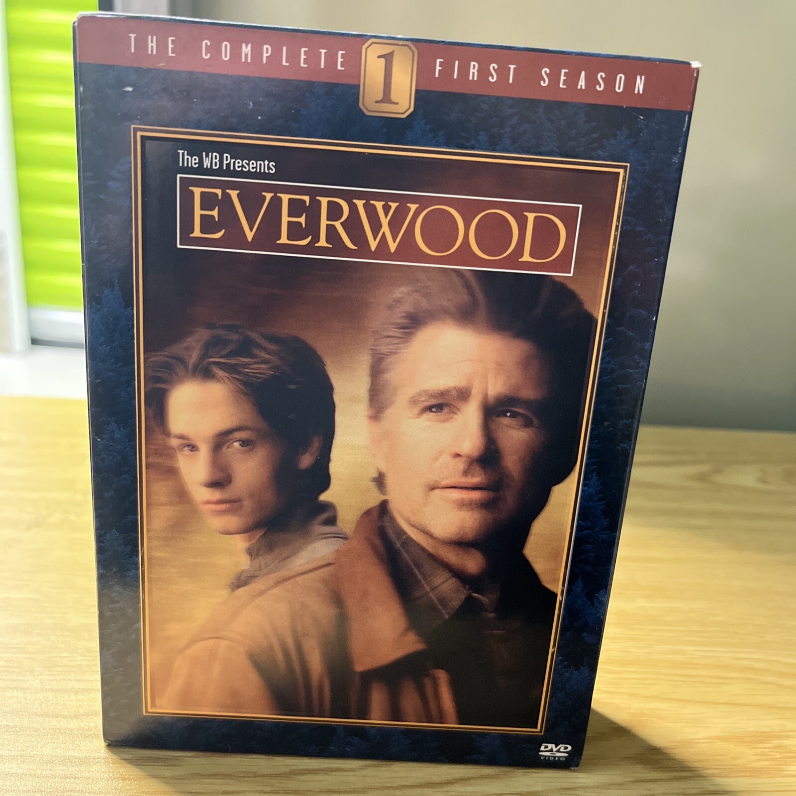 Everwood: The Complete First Season (DVD, 2004) for sale online | eBay