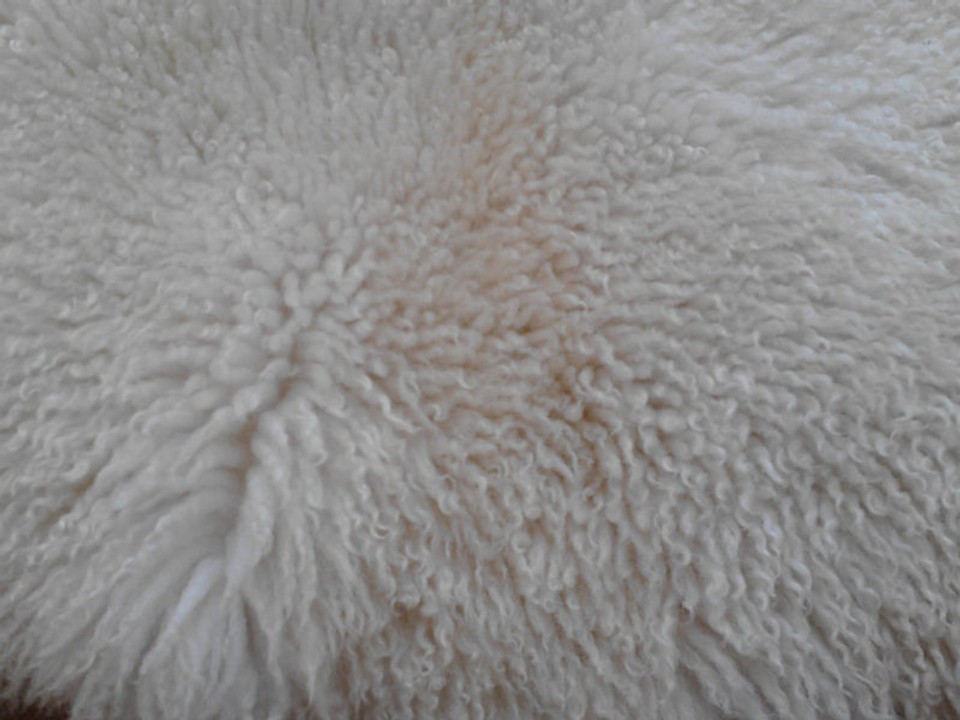Sheepskin Rug Cleaning and conditioning care Shampoo Woolskin Woolwash ...