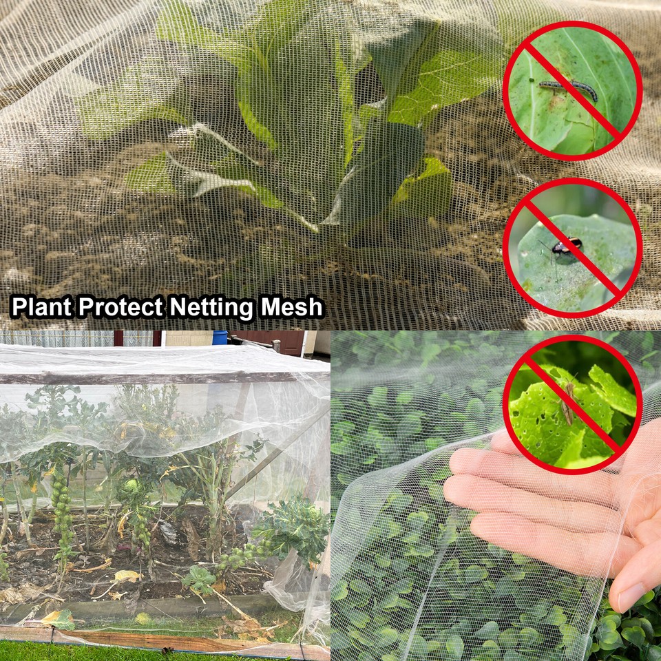5/10M INSECT SCREEN NETTING NET Fine Woven 60Mesh Anti Butterfly Fly ...