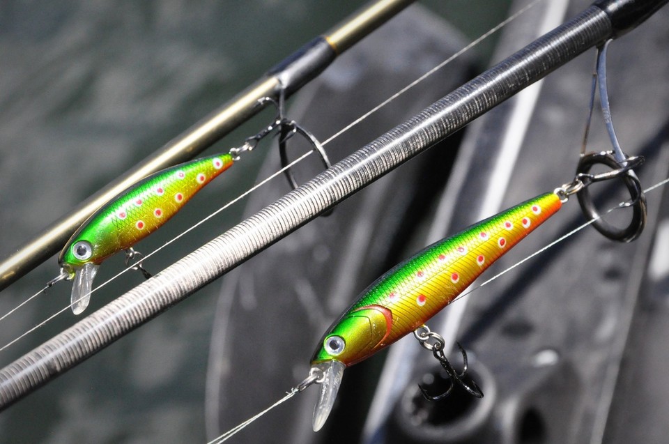 Dynamic Lures HD TROUT (Brook Trout) Fishing lure | eBay