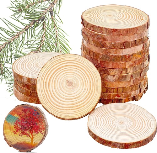 Natural Wood Slices Round Tree Bark Log 5-6 CM Wooden Discs Craft ...