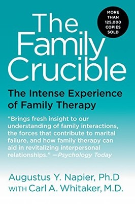 The Family Crucible: The Intense Experience of Family Therapy (P ...