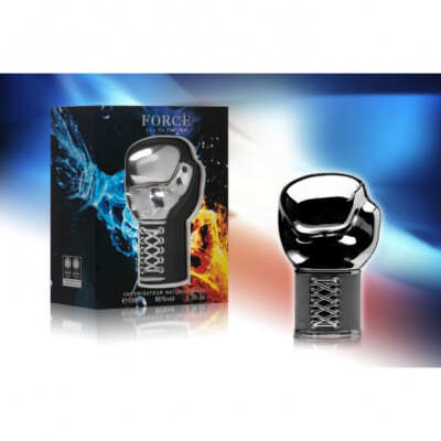 Force Silver Parfum Eau de Parfum 100 ml Herren Duft Herren Parfum ...