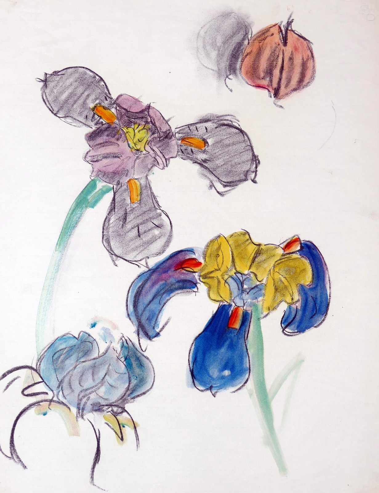 Emil VAN-HAUTH, Die Lilienblüte - Mischtechnik | eBay