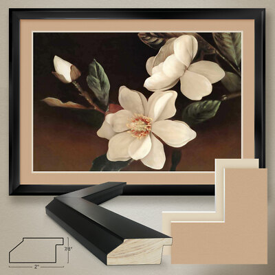 44W"x32H" MAGNOLIA NOIR by PHYLLIS HILBURN - DOUBLE MATTE, GLASS and ...