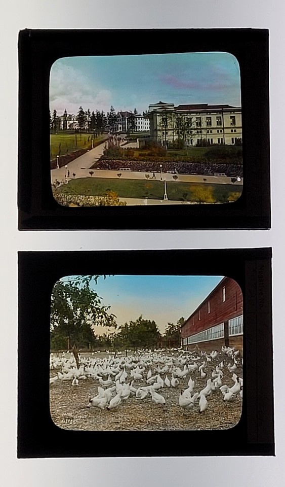 ASAHEL CURTIS LANTERN SLIDES GLASS SEATTLE LANTERN VINTAGE ORIGINAL | eBay