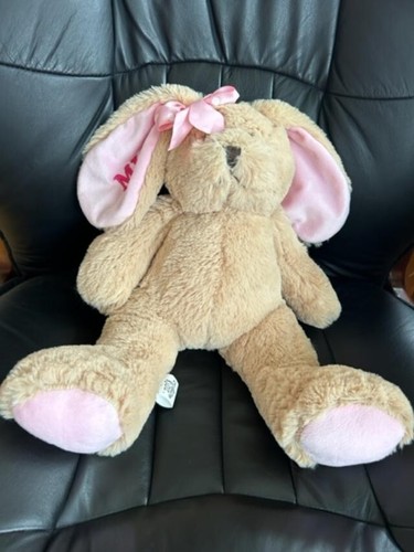 Custom Kidz Personalized Plush Stuffed Floppy Ear Bunny - MIA | eBay