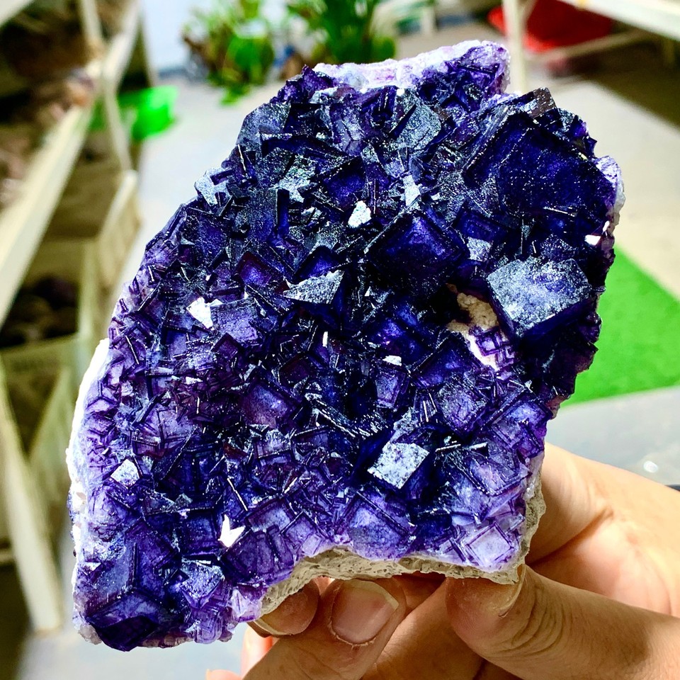 1.16LB Rare transparent purple cubic fluorite mineral crystal sample ...