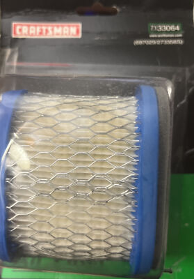 Craftsman AIR FILTER FITS BRIGGS & STRATTON 690610 697029 498596 ...