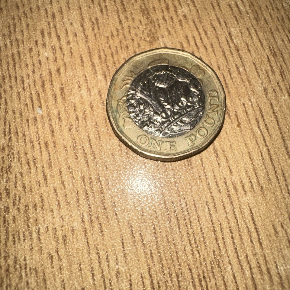 rare 1 pound coin 2017 | eBay UK