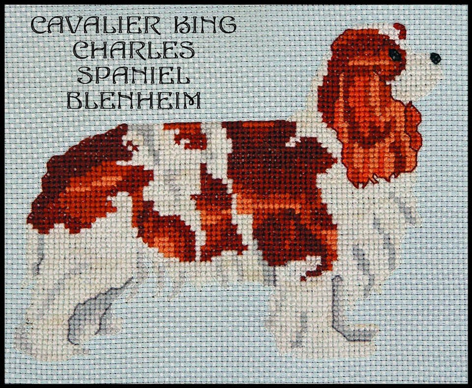 CKCS & ENGLISH TOY SPANIEL COUNTED CROSS STITCH PATTERN | eBay