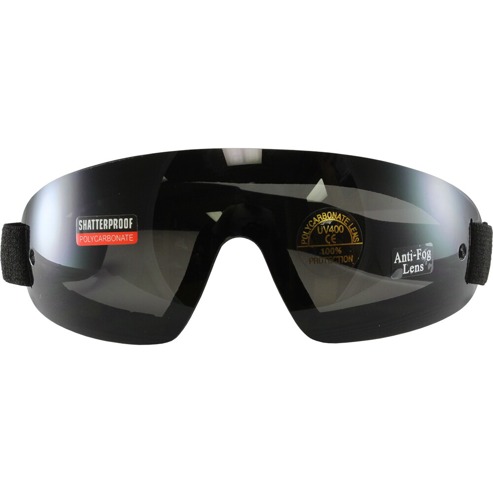 2 PAIR OF Birdz Wing Skydive Sky Diving Goggles Smoked Lens UV400 | eBay