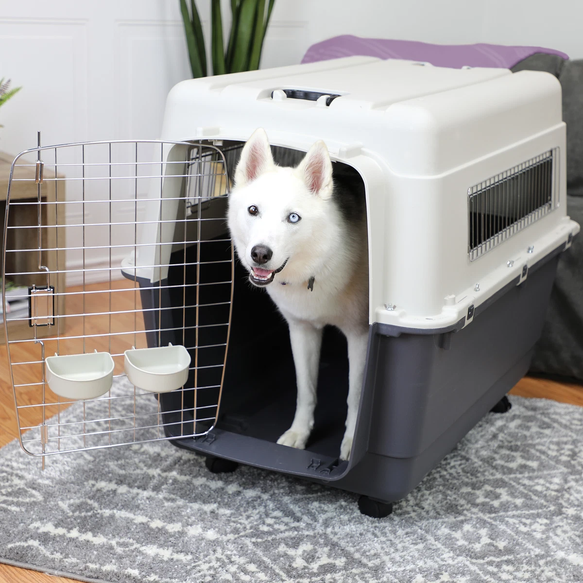 IATA Airline Approved Plastic Pet Carrier Dog Crate For