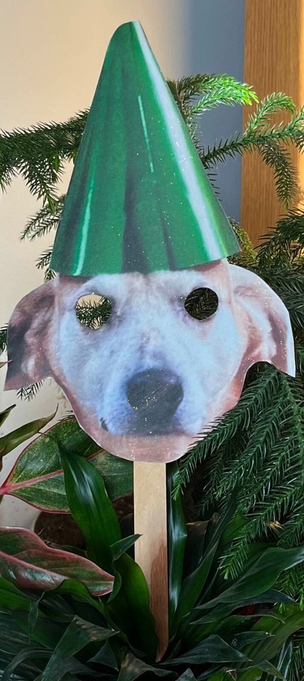 Dog party mask animal Halloween or Dog Party costume maskDog mask ...