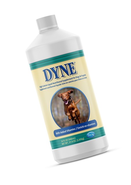 Dyne High Calorie Nutritional Supplement for Dogs - 32oz for sale ...