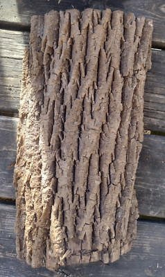Rustic Tree Bark Slice For Crafts DIY Red Ash Hard ~ 14 x 7 inch USA WI ...