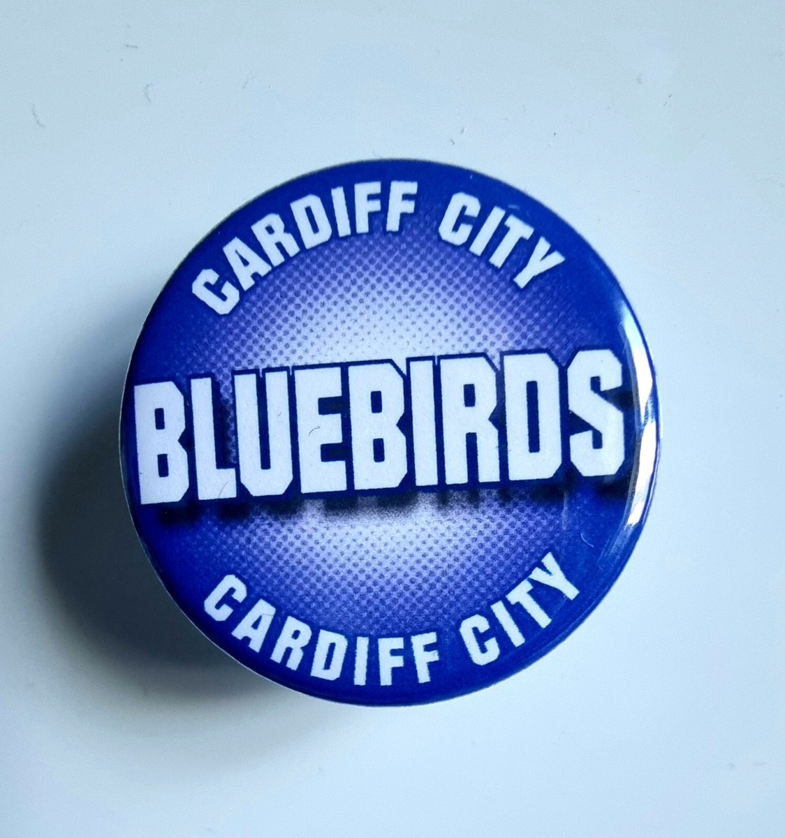 Cardiff City Bluebirds Logo